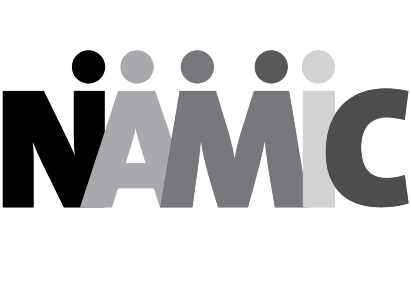 Multichannel News: NAMIC Unveils 2018 Next Generation Leaders ...